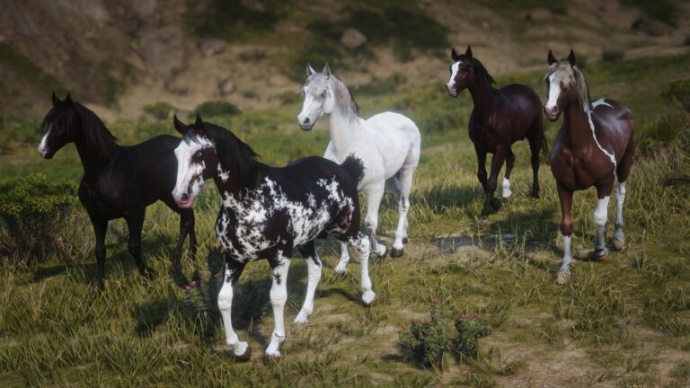 Sardinian Anglo-Arabian Horse Breed V Final - Allmods.net