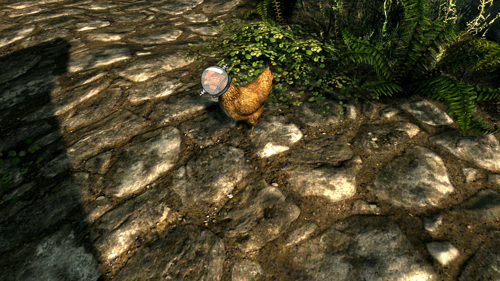 Address Library for SFSE Plugins V19.0 - Allmods.net