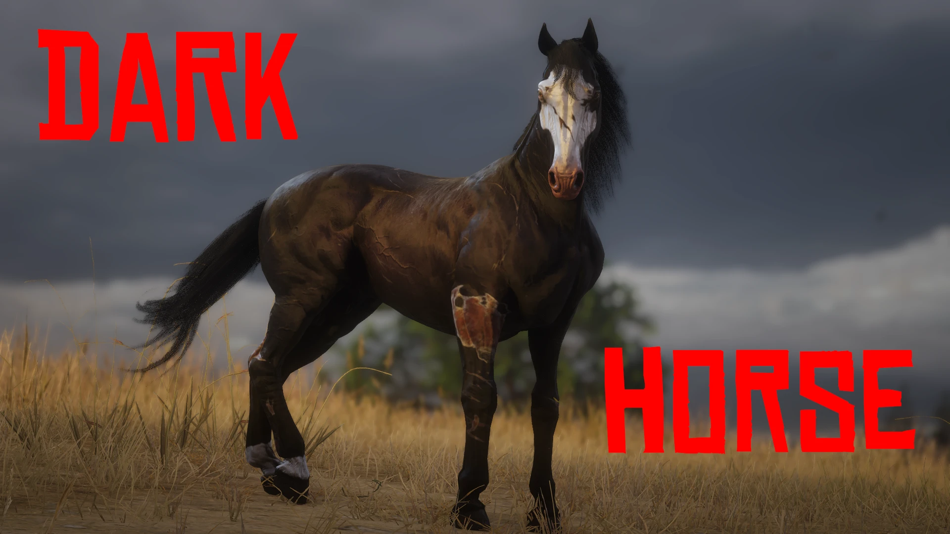 RDR's Dark Horse - Allmods.net