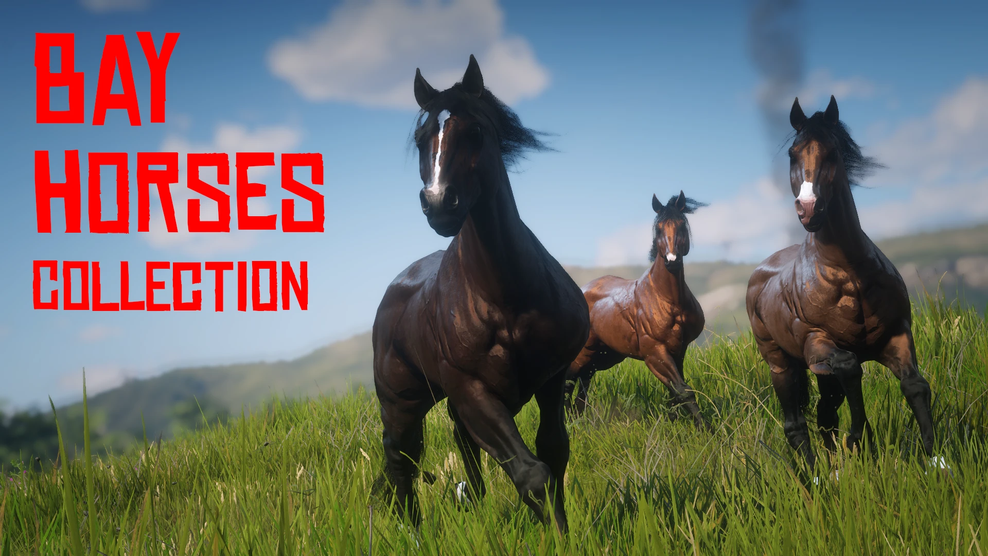 Muss and Rea's Bay Horses Collection V1.0 - Allmods.net