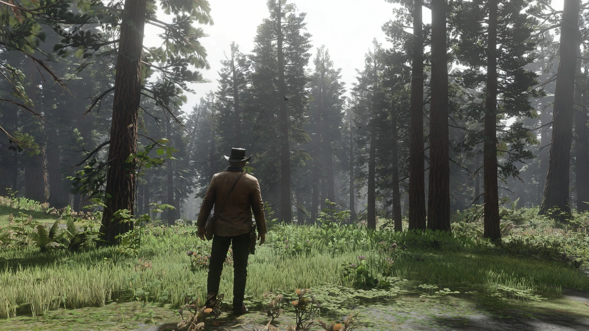 Dense Tall Trees V1.0 - Allmods.net