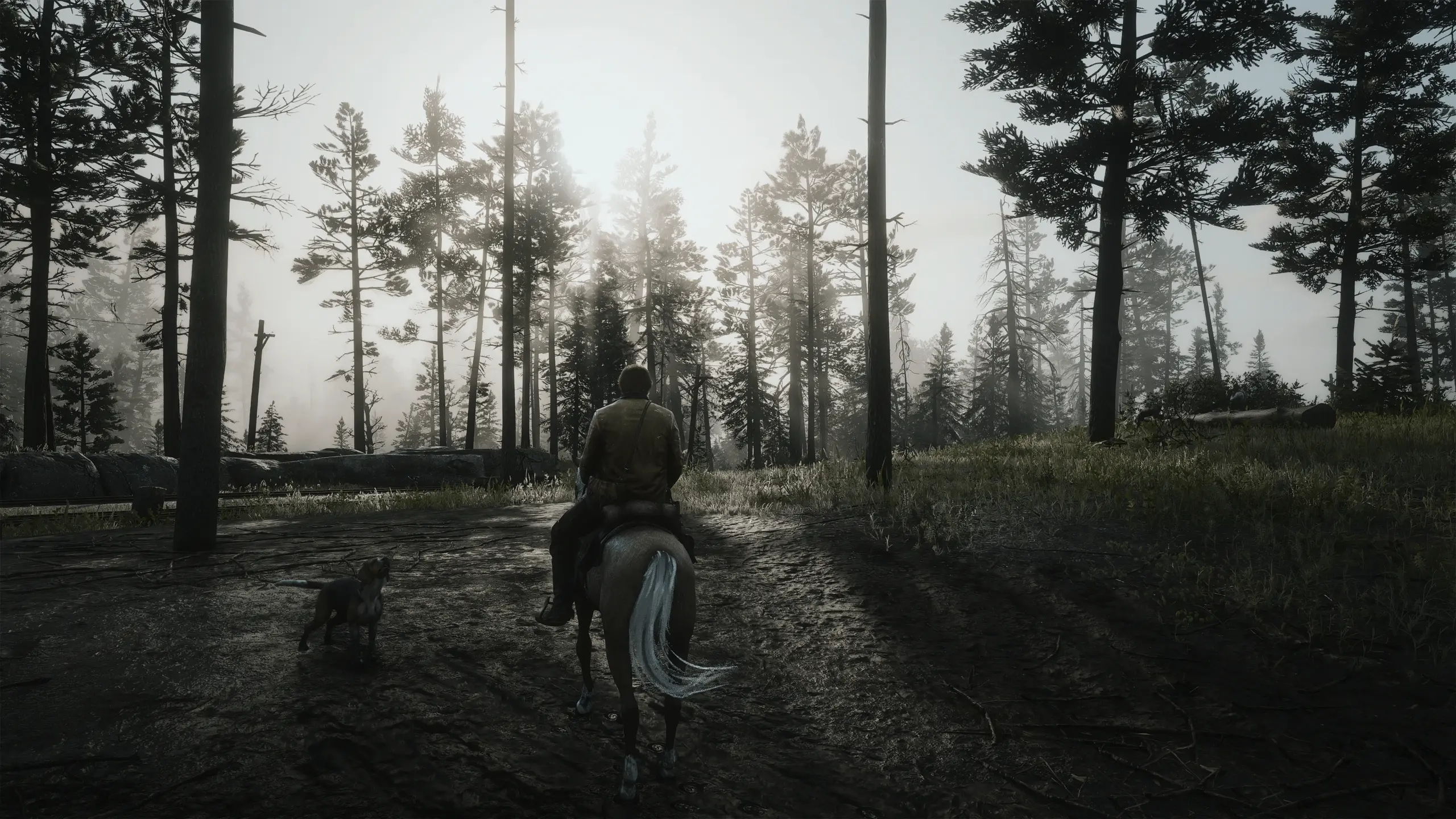 Real Life Reshade V1.1 - Allmods.net